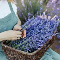 Support – For Sappho's Sake